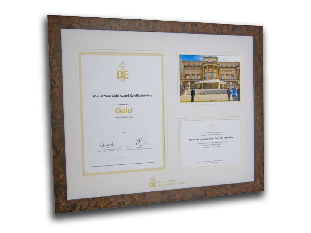Tri-Aperture Mount - Gold Award Certificate Aperture and Two 7"x 5 ...